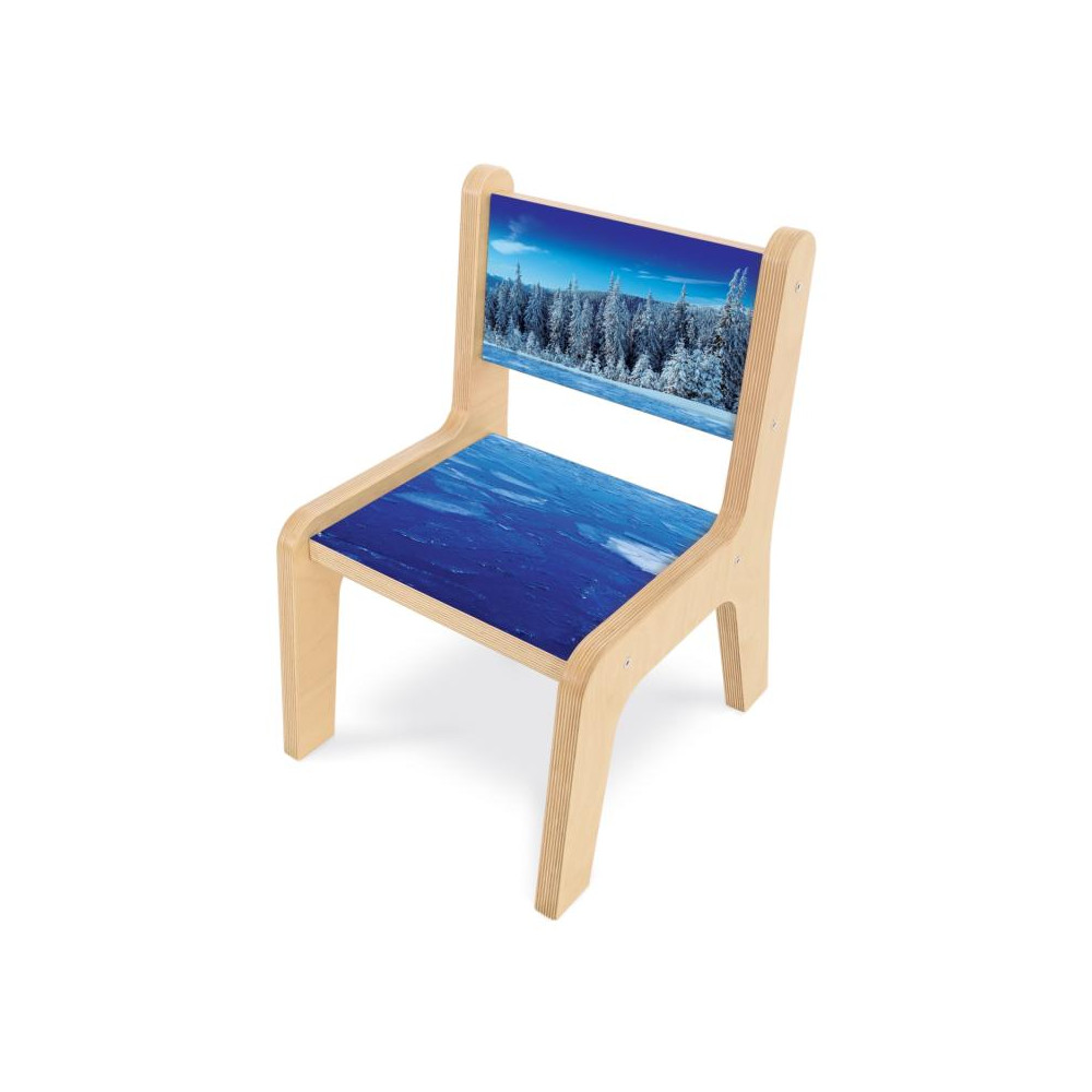 Nature View Winter Chair